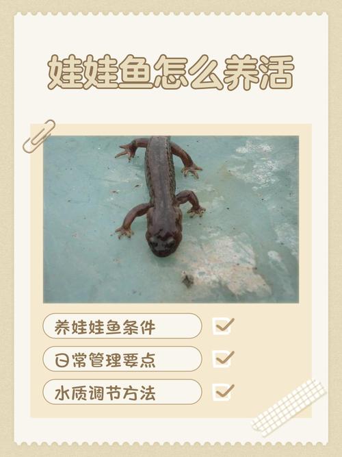 娃娃鱼为何不建议养图标