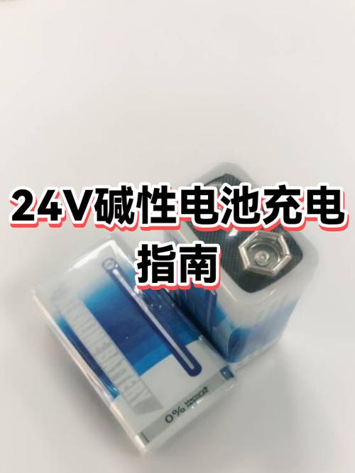 碱性电池能充电吗?图标