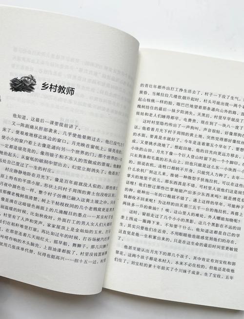 乡村教师划雨全本下载图标