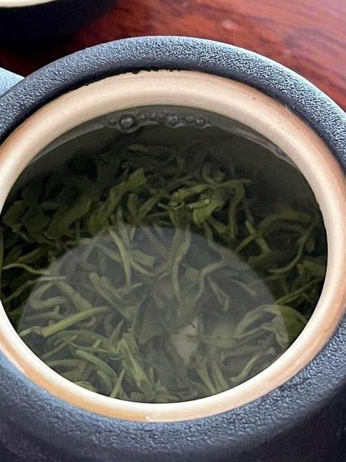 绿茶567t绿茶图标