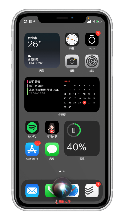 苹果屏有小绿点原因