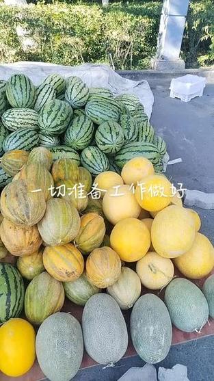 批发西瓜8角一斤卖多少钱一斤合适呢?