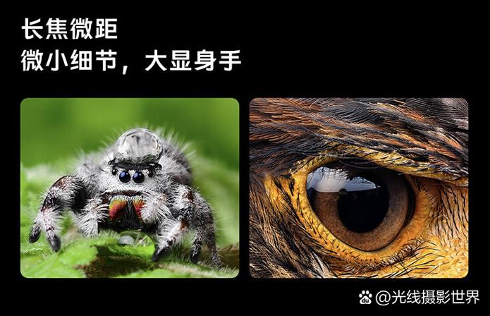 苹果没有微距功能吗图标