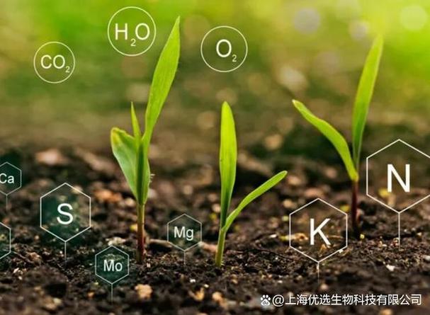 提高矿物指令的方法截图