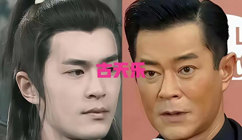 小米11青春活力版和青春版区别图标