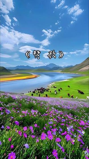 夸妹子好看的词截图