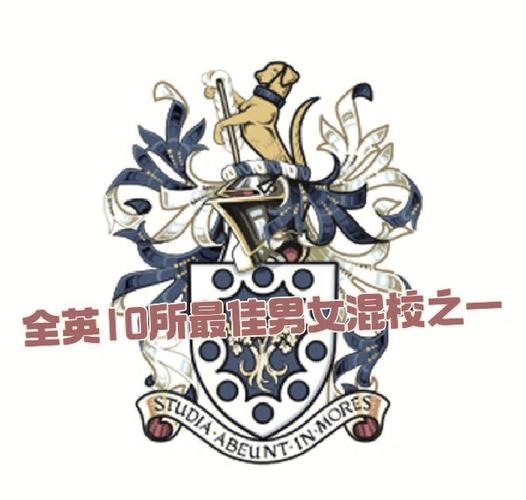 小豆转入贵族学校图标