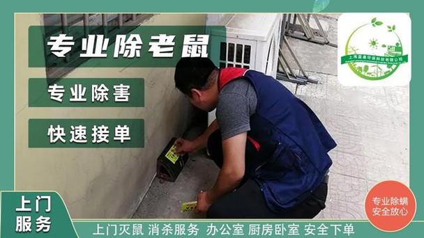 消杀灭鼠服务收费标准图标