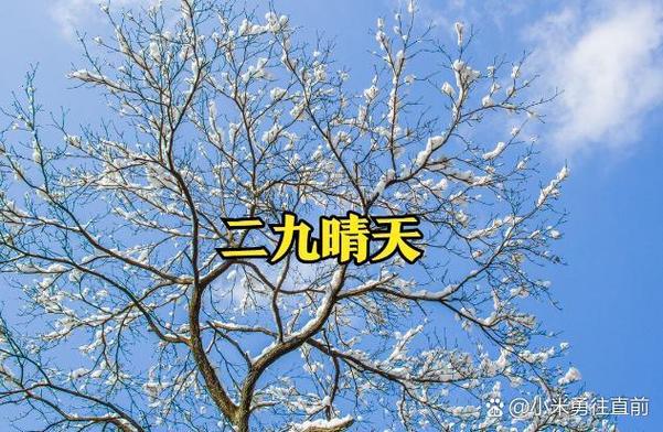 vivo手机设置农历时间图标