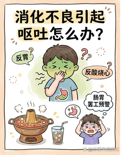 进食后不久就呕吐是什么原因图标