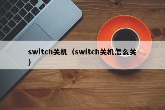 switch长期不用要关机吗