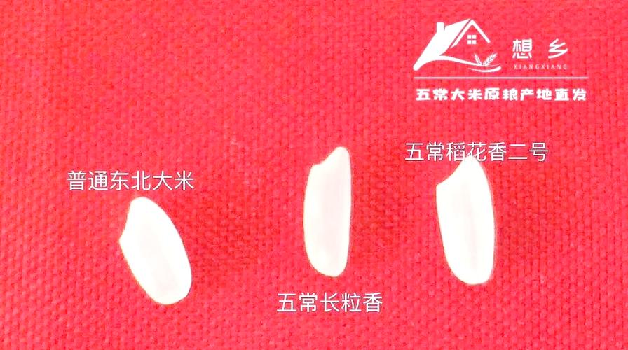 大米真假对照图图标