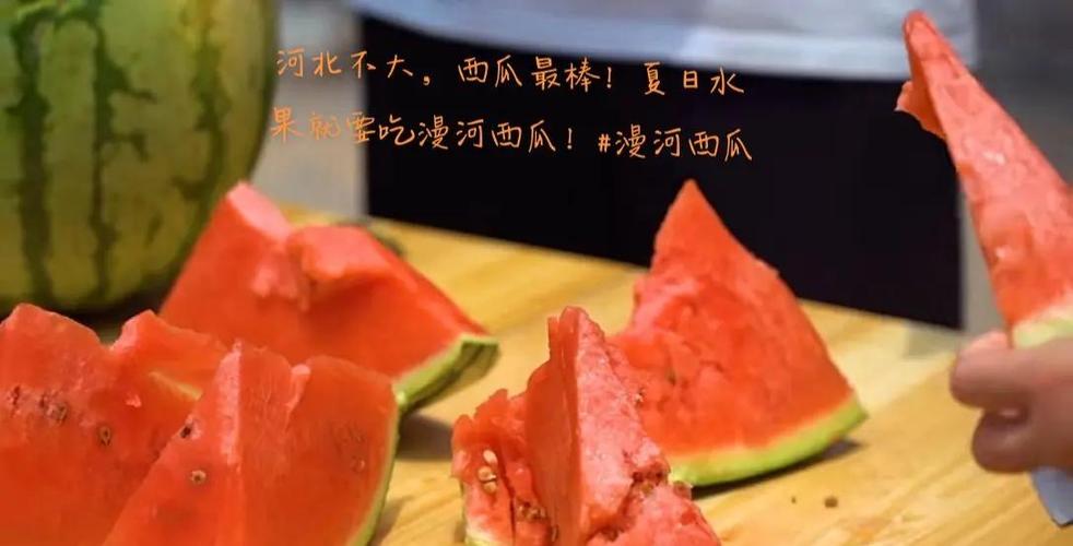 西瓜视历史版本图标