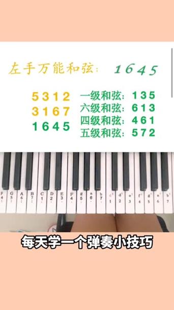好听的万能和弦截图