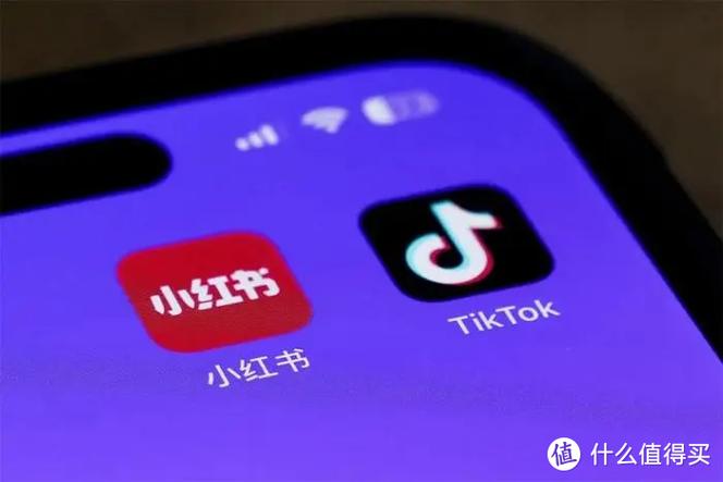 tiktok老版本1.2.0图标