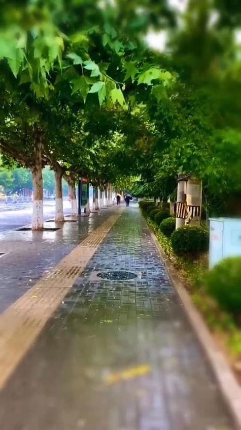 元曲《梧桐雨》原文图标
