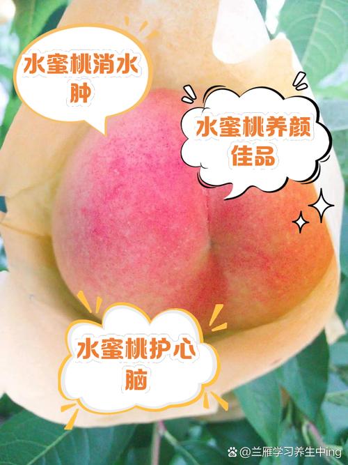 小蜜桃能赚钱吗截图