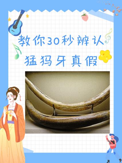 怎么鉴别猛犸象呀真假截图