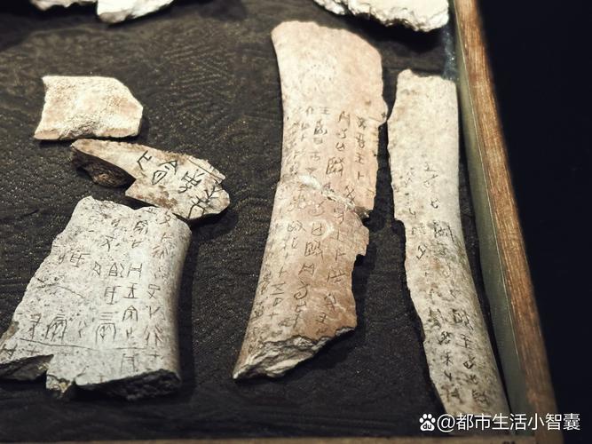 古墓丽影十周年无限弹药截图