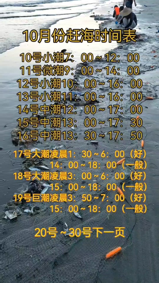 海陵岛潮汐表图标