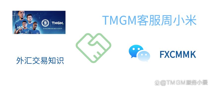 tmgm官网客户端app截图
