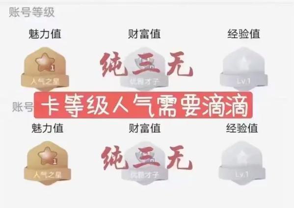 tt魅力等级在哪里看图标