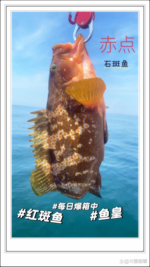 胖头鱼身上有红斑能吃吗图标