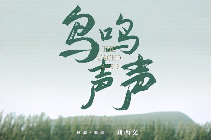 小鸟叫声大全mp3图标