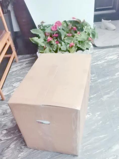 50斤的东西寄什么快递最便宜图标