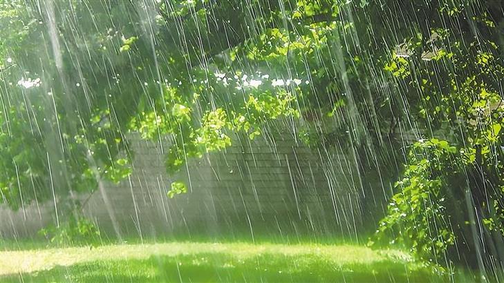 太阳雨是好运吗截图