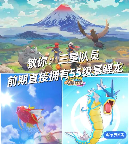 火红暴鲤龙性格配招图标