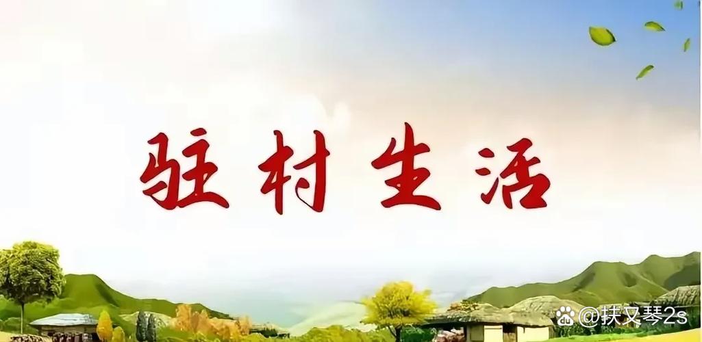 驻村几年一轮换截图