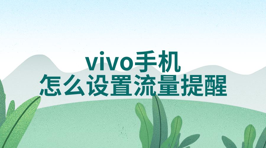 vivo手机设置每日流量提醒图标