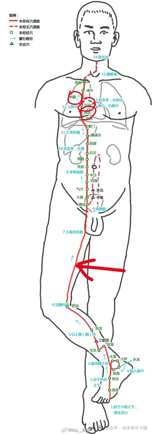阴阳合欢宗在哪截图
