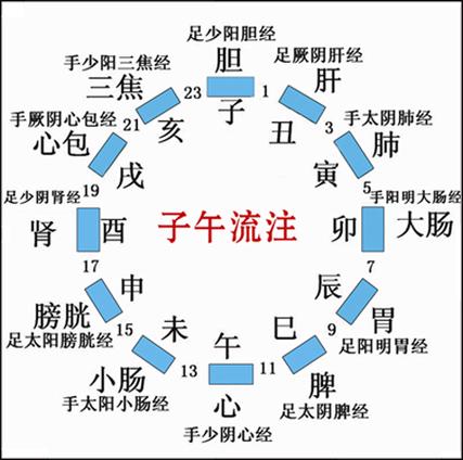 子午流注正确背诵口诀图标