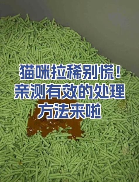 猫咪禁吃什么