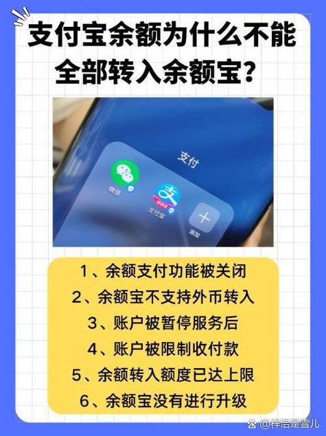 不让支付宝余额转余额宝图标