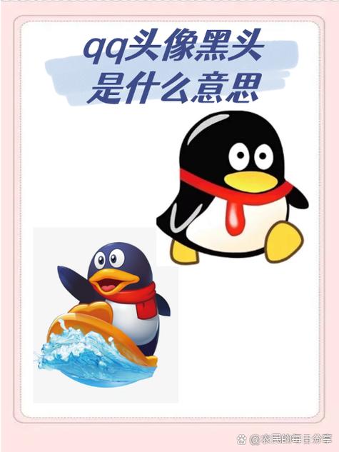 小企鹅是啥软件图标