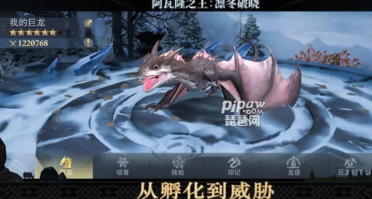 阿瓦隆礼包兑换码图标