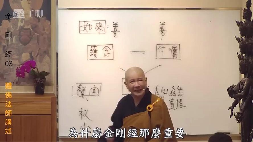 体方法师讲金刚经全集图标