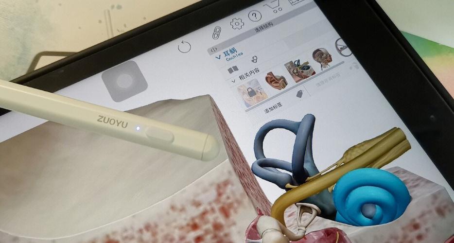 ipad可以配鼠标和键盘吗图标