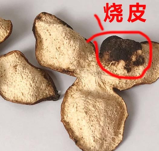 皮子怎么保存图标