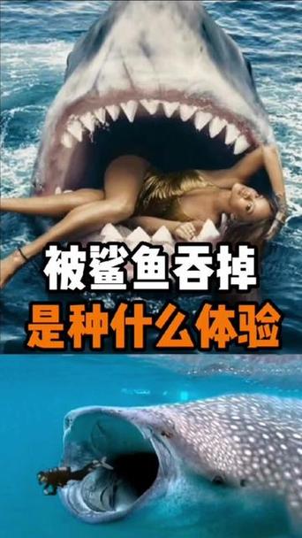 鲨鱼吃小孩视频截图