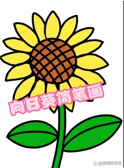 向日葵怎么右键截图