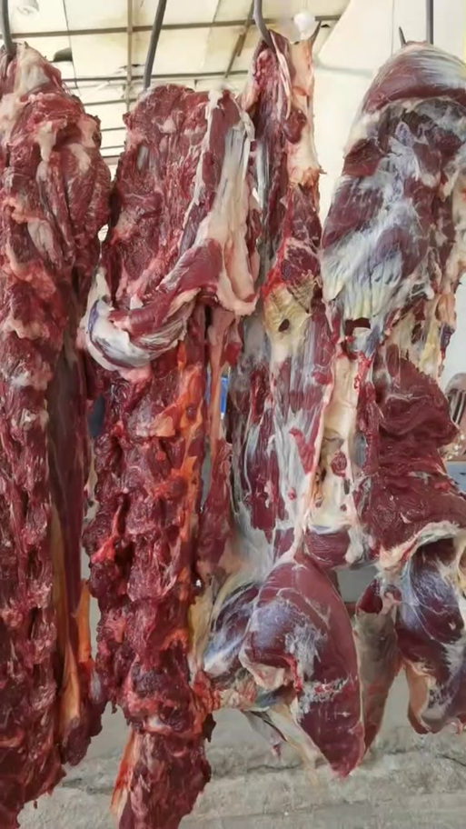 光头全牛怎么样