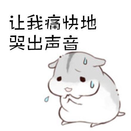 仓鼠哭的表情包图标