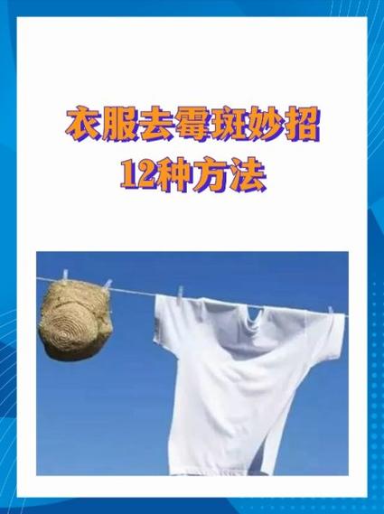 衣服上的霉斑怎么去除小窍门截图