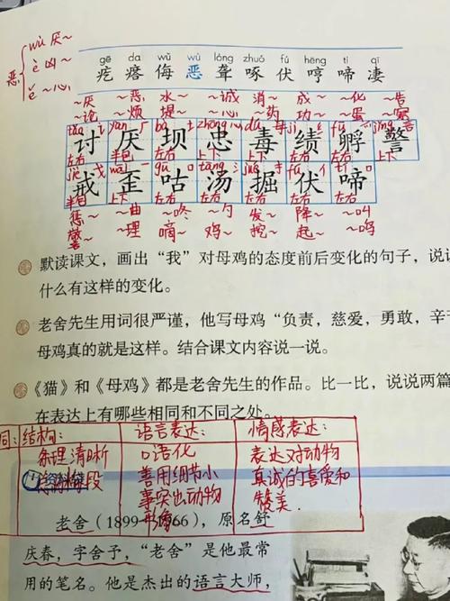 四年级下册语文14课生字