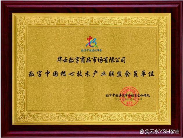 华云数字国家认可吗图标