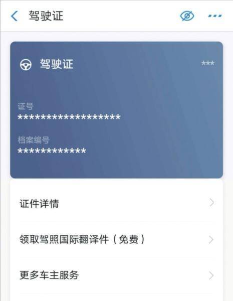 支付宝驾驶证在哪里看图标